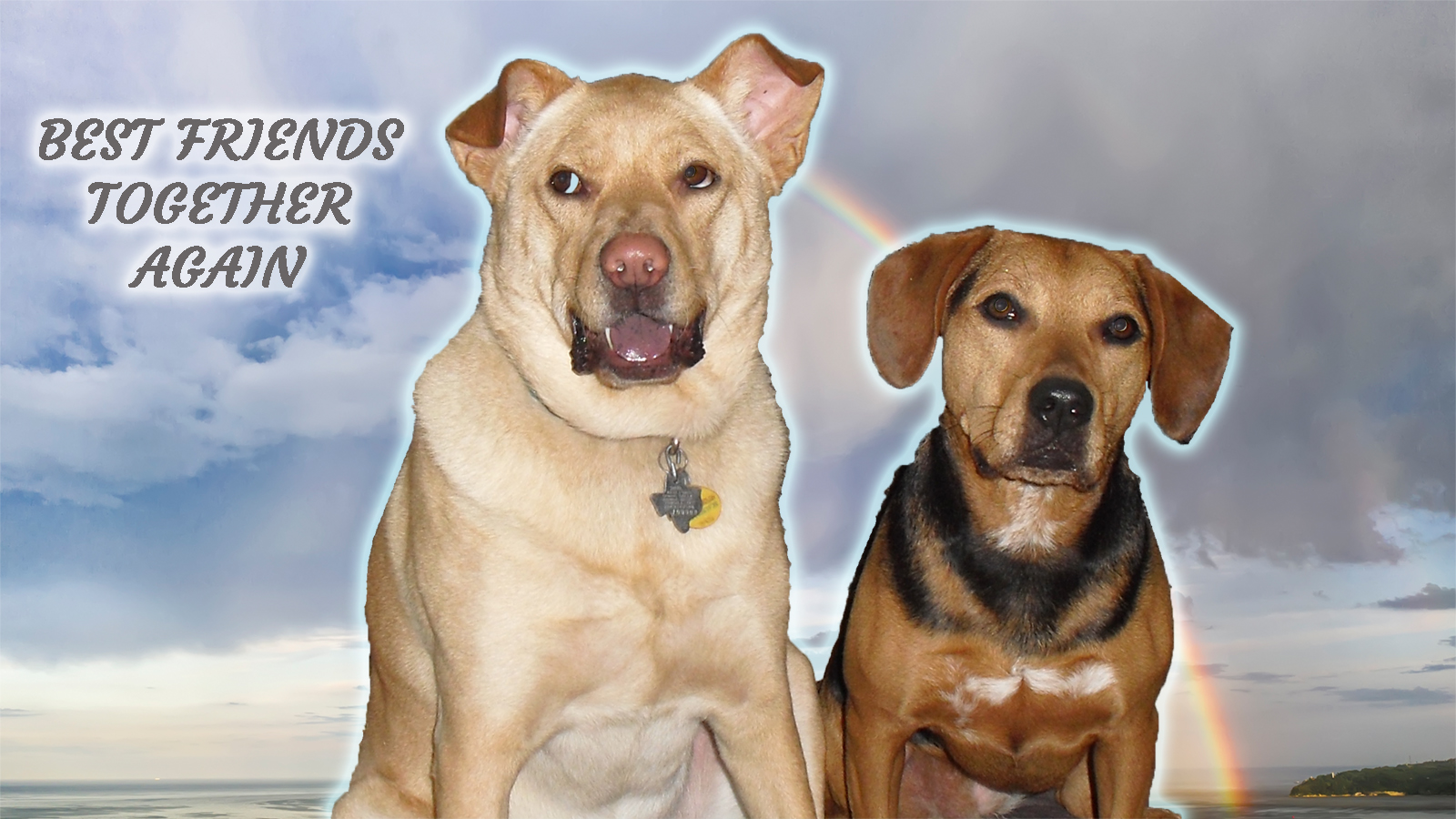 The Power of Perspective & Some Rules To Live By | Chris Chelli