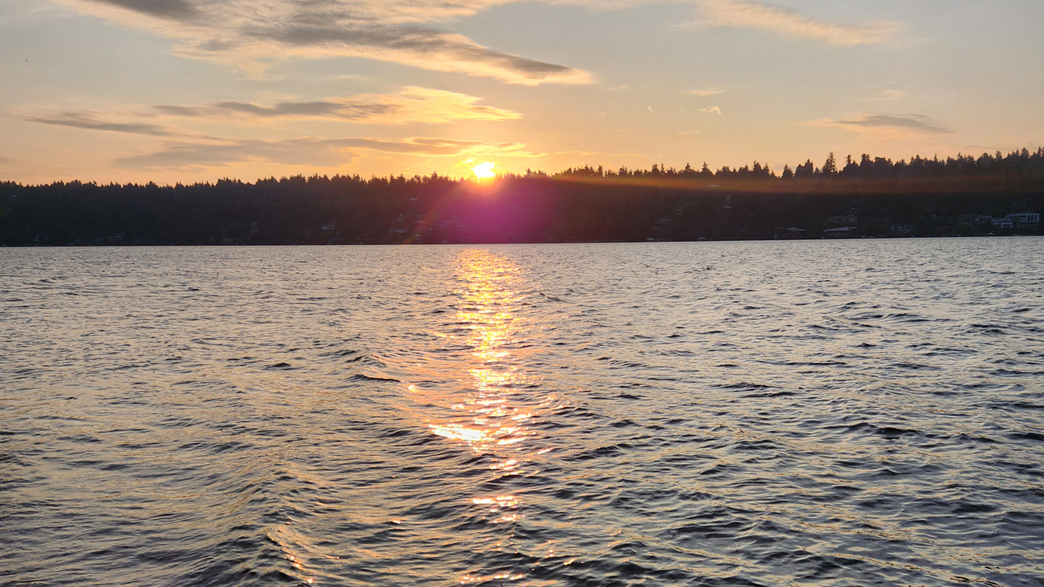 Just Another Adjustment | Chris Chelli